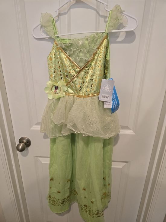 Disney | Dresses | Disney Princess Tiana Girls Light Green Costume ...